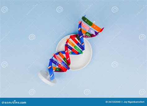 Dna Helix Structure The Fork In The Middle Dna And Nutrition Effect