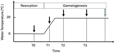 Sex Specific Transcriptome Signatures In Pacific Oyster Hemolymph