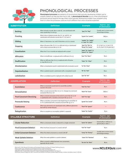 Phonological Processes Cheat Sheet