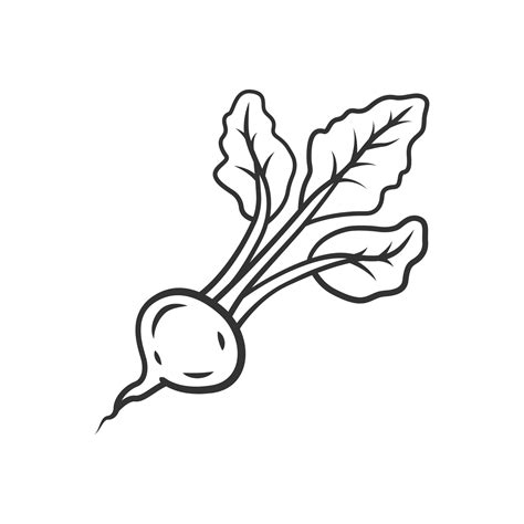Radish Illustration Black And White