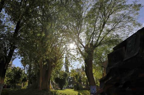 Pasteurization Temperature Range