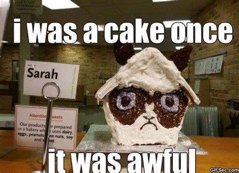 Funny Birthday Cake Memes