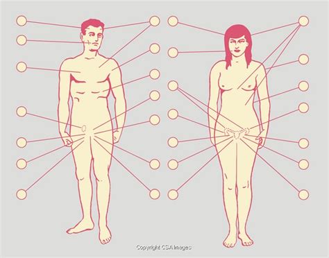 Technical Image Illustrations Unique Modern And Vintage Style Stock Illustrations For