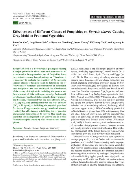 Pdf Effectiveness Of Different Classes Of Fungicides On Botrytis