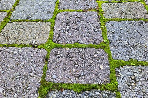 Colored Concrete Flooring Block Assembled On A Substrate Of Sand With