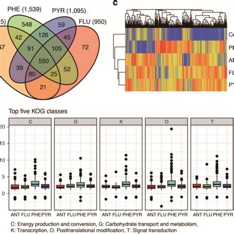 Principal Component Analysis Pca Of Transcriptomics Data Ant