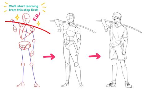How To Draw Human Anatomy Step By Step