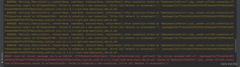 解决error Could Not Install Packages Due To An Oserror