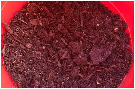 How To Compost Grass Clippings Simple Tips