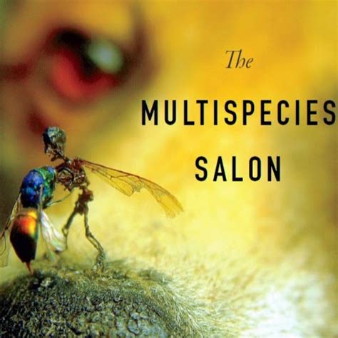 Multispecies Salon Youtube