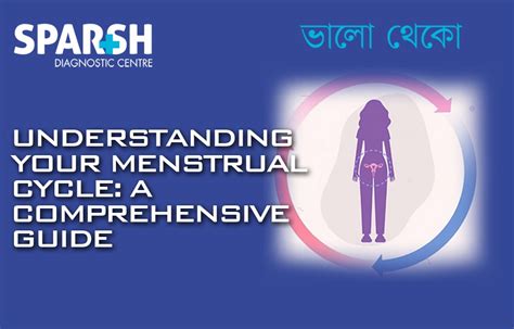 Understanding Your Menstrual Cycle A Comprehensive Guide Sparsh