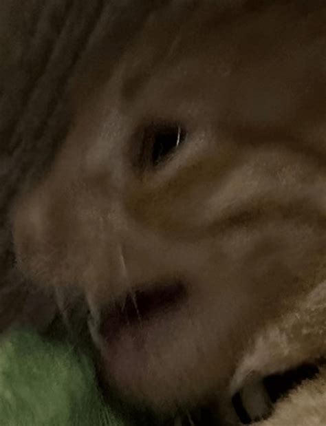 Uncle Lemon Is The Best Teacher Roneorangebraincell