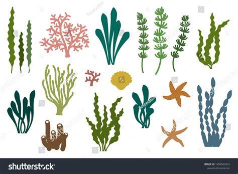 Ocean Plants Clipart