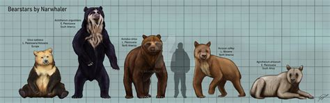 Arctodus Simus Size