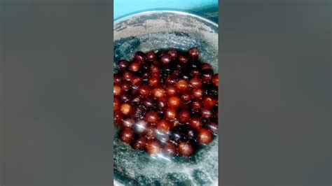 Rasugulla S Party Salmankhanpoojahegde Song Bollywood