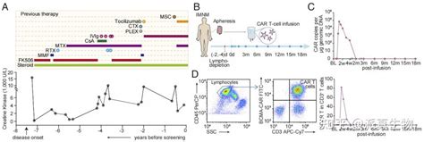 Pnas：世界首次！王伟田代实卜碧涛应用car T细胞成功治疗免疫介导的坏死性肌病 知乎