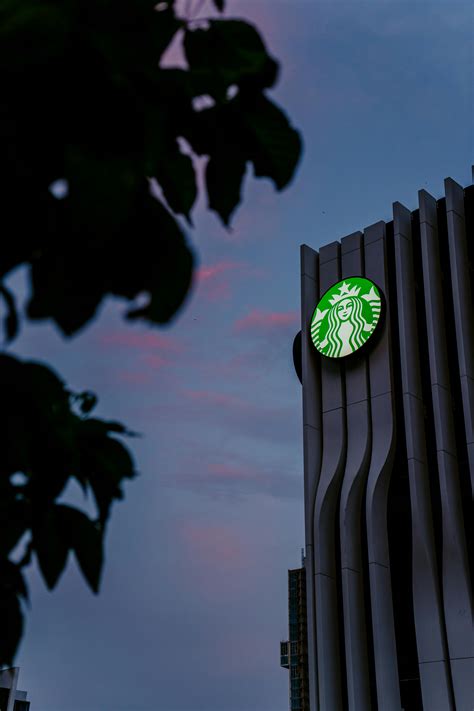 Luis Aleman Fotografía