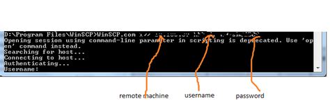 Call Winscp To Check If Files On A Host Exist Or Not Using A Batch File