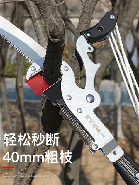高枝剪園林伸縮高空剪修剪樹枝剪刀果樹枝鋼刀頭加長鋸樹修枝神器 Yahoo奇摩拍賣 高枝剪園林伸縮高空剪修剪樹枝剪刀果樹枝鋼刀頭加長鋸樹修枝神器 Yahoo奇摩拍賣