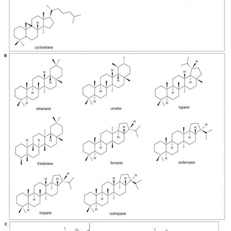 Chemical Structures Of Different Subgroups Of Tetracyclic Triterpenoid