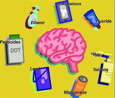 Various Environmental Toxins Download Scientific Diagram
