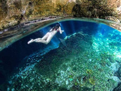 The Best Cenotes In Tulum 2022 Mexico Expert Guide