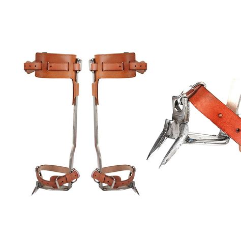 Clavos Para Trepar Árboles Herramienta Para Trepar Árboles Zapatos Para Trepar Árboles