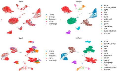 Imgg Integrating Multiple Single Cell Datasets Through Connected Graphs And Generative
