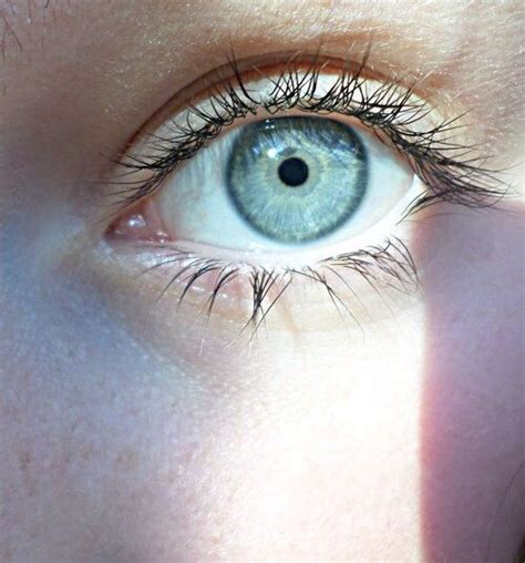 Beautiful Blue Eyes Light Light Blue Eyes Doe Eyes Blue Very Light