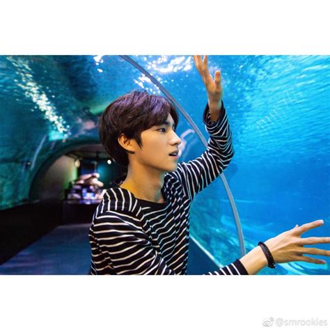 肖俊 高清图片，堆糖，美图壁纸兴趣社区