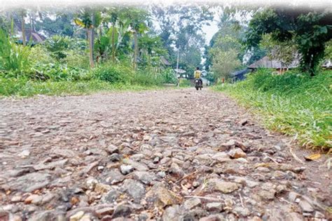 Nagari Penyumbang Pad Terabaikan Padek Jawapos