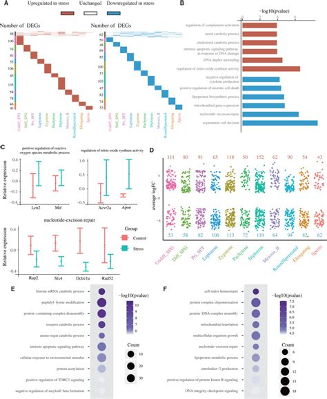 Single Cell Transcriptome Profiling Implicates The Psychological Stress Induced Disruption Of