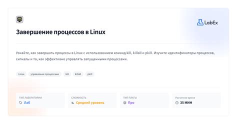 Завершение процессов в Linux Labex