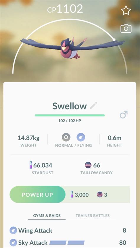 Pokemon Swellow Evolution Chart