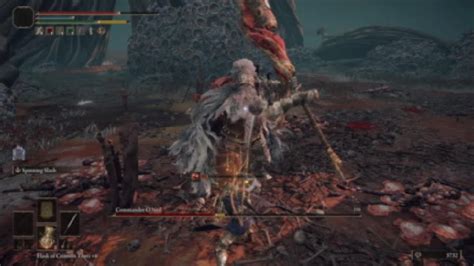 Elden Ring Commander Oneil Fight Youtube