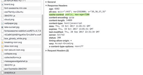 Why Is Browser Caching So Hard Trezy