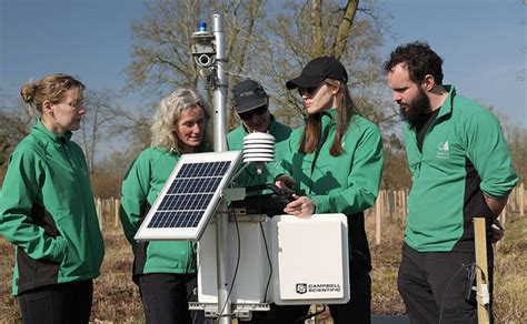 Installing A Tree Growth Monitoring Station Friends Of Westonbirt
