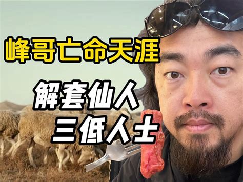 峰哥亡命天涯 解套仙人 三低人士 大大波杰克 大大波杰克 哔哩哔哩视频