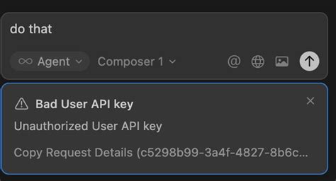 Getting Unauthorized User Api Key In Regular Cursor Window Agent