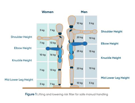 Manual Handling Infographic