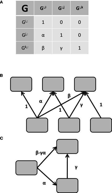 Identifying Effective Connectivity From Restricted Functional