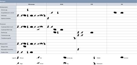 Single Pathogen Testing Gvg Diagnostics