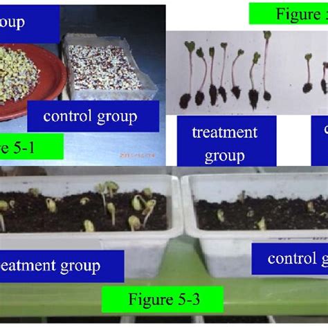 The Experimental Results Of Directional Transfer Of Genetic Traits Of