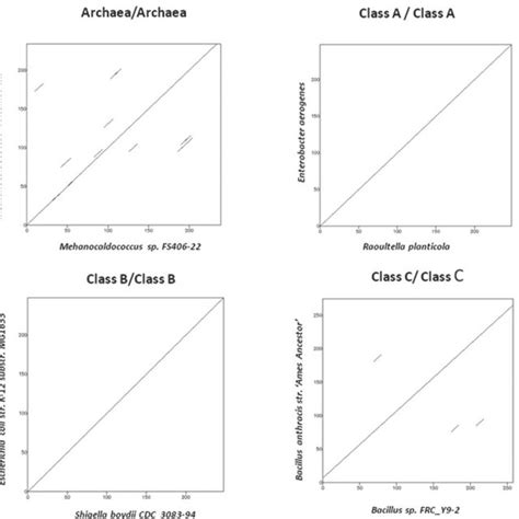 The Dot Plot Comparison Of Sequences Belonging To Same Classes Resulted Download Scientific