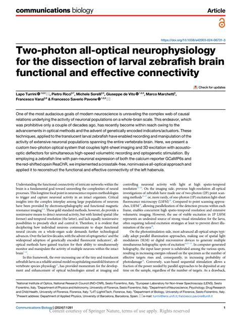 Pdf Two Photon All Optical Neurophysiology For The Dissection Of