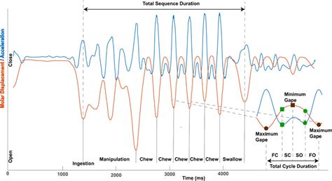 Definitions Of Feeding Sequence Gape Cycle And Gape Cycle Phases The