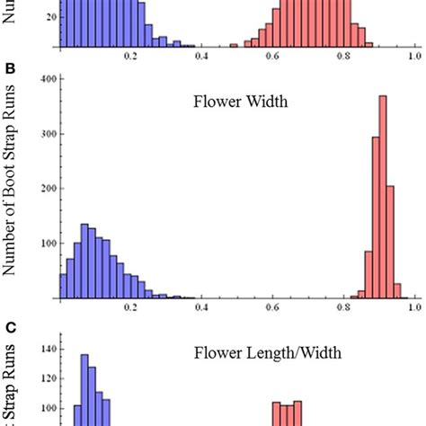 Schematic Of Corolla Measurements In The Figure Anthers And Stigma Are