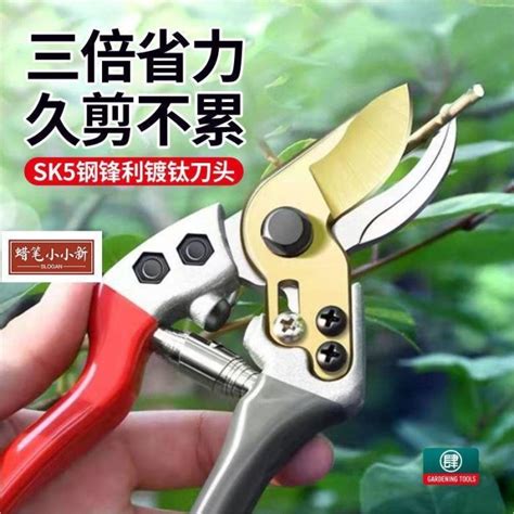 園藝剪刀剪樹枝專用剪子花藝剪刀修枝剪刀樹枝修剪修樹枝剪刀粗枝 雜貨 Yahoo奇摩拍賣