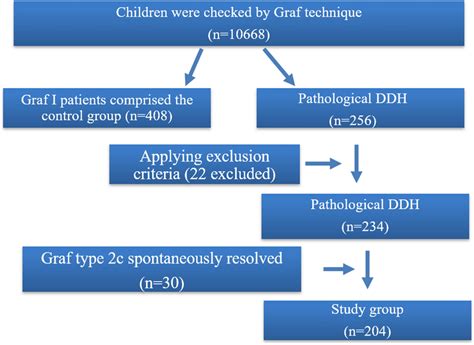 Schematic Diagram Showing The Study Design Ddh Developmental