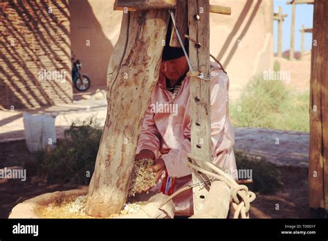 Oil Extraction Ancient Oil Extraction Technology Stock Photo Alamy